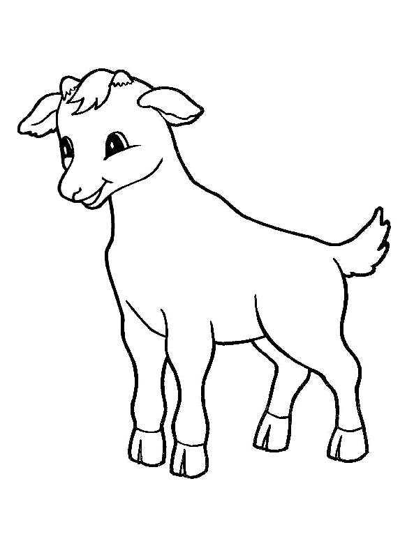 Cabra Capra Bode Koza Cabras Ziege Colorare Colorat Goats Kolorowanka ...